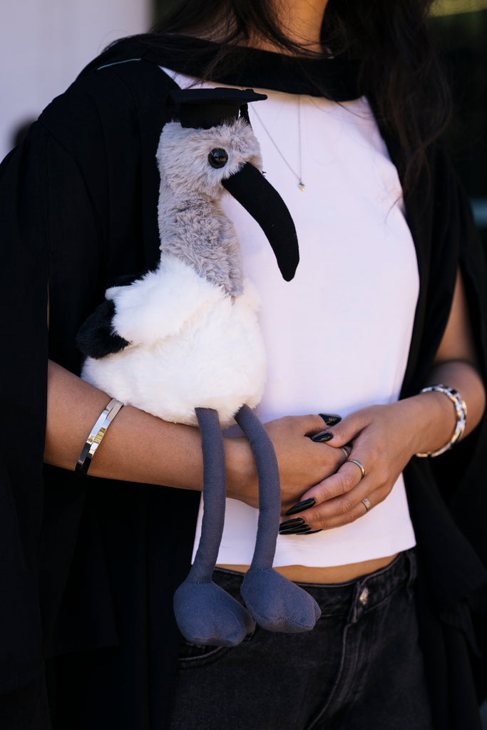 Ilbis – Shop | The Grad Shop