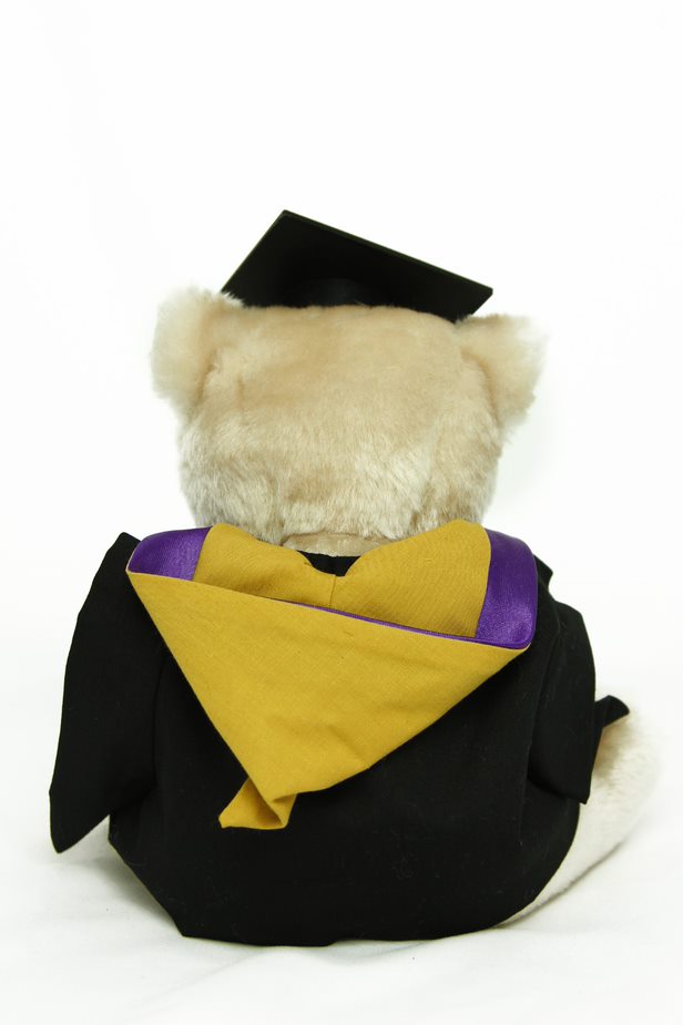 UNSW Customisable Graduation Bear | Faculty of Medicine – Shop | The ...