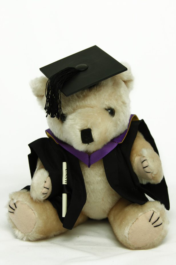 UNSW Customisable Graduation Bear | Faculty of Medicine – Shop | The ...